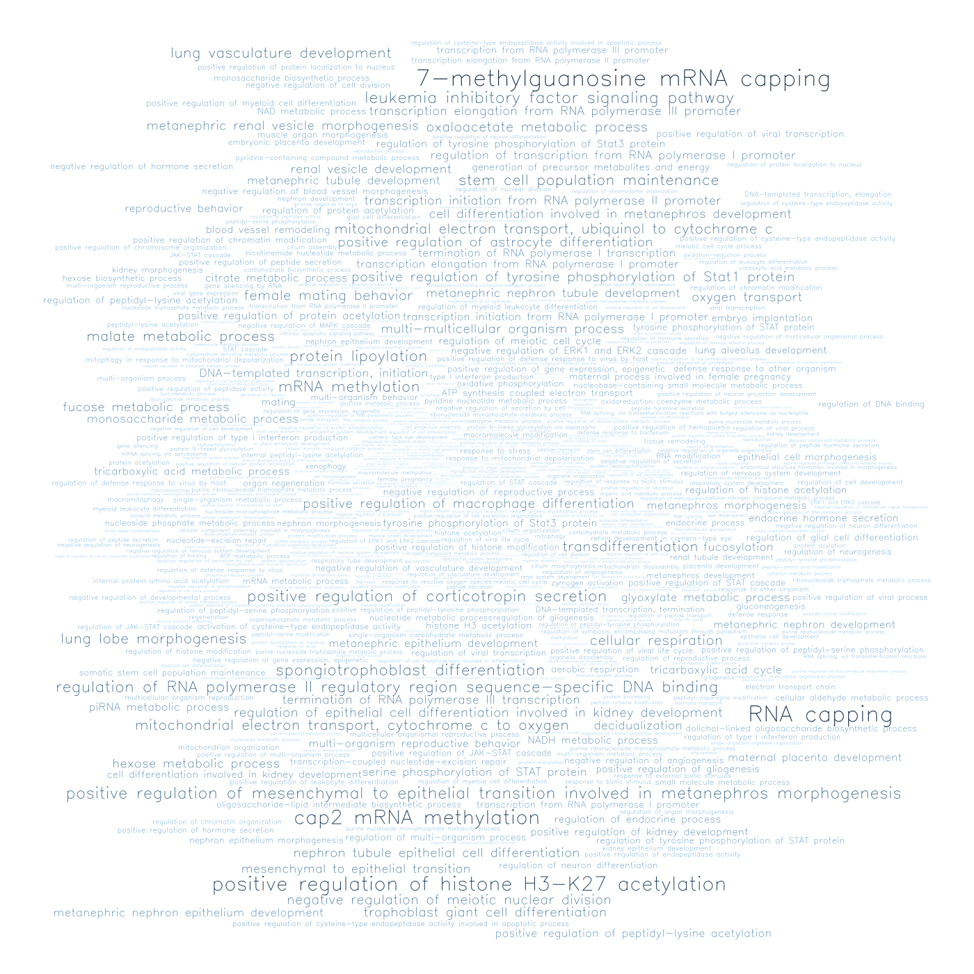 RnBeads: uWGBS - prog_v07_mk